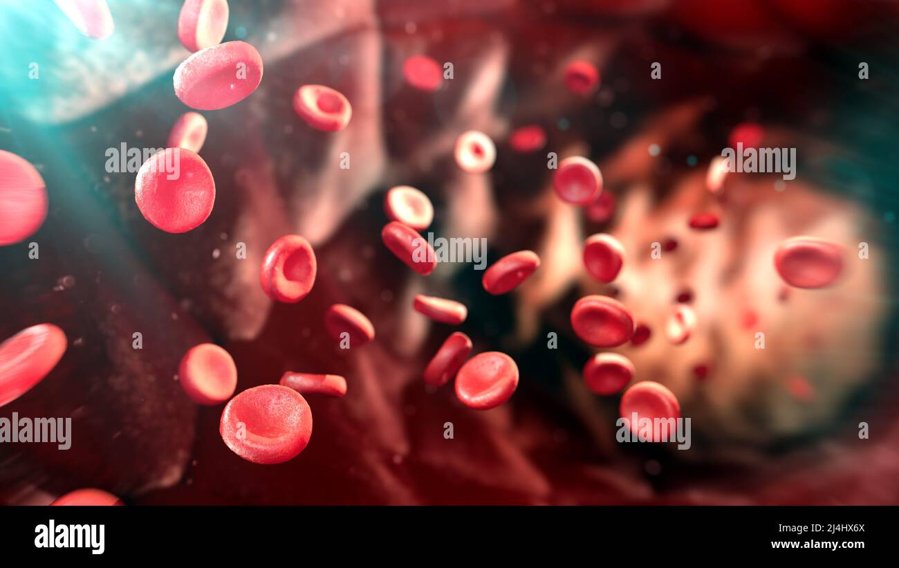 White Blood Cells Wallpaper