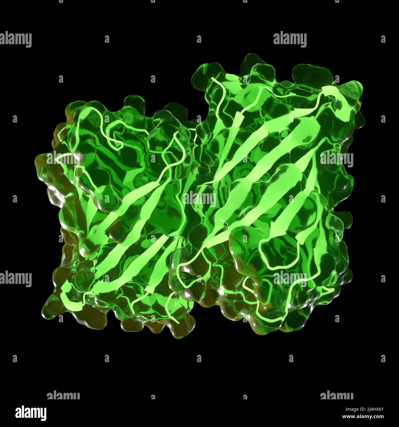 Green fluorescent protein, illustration Stock Photo - Alamy