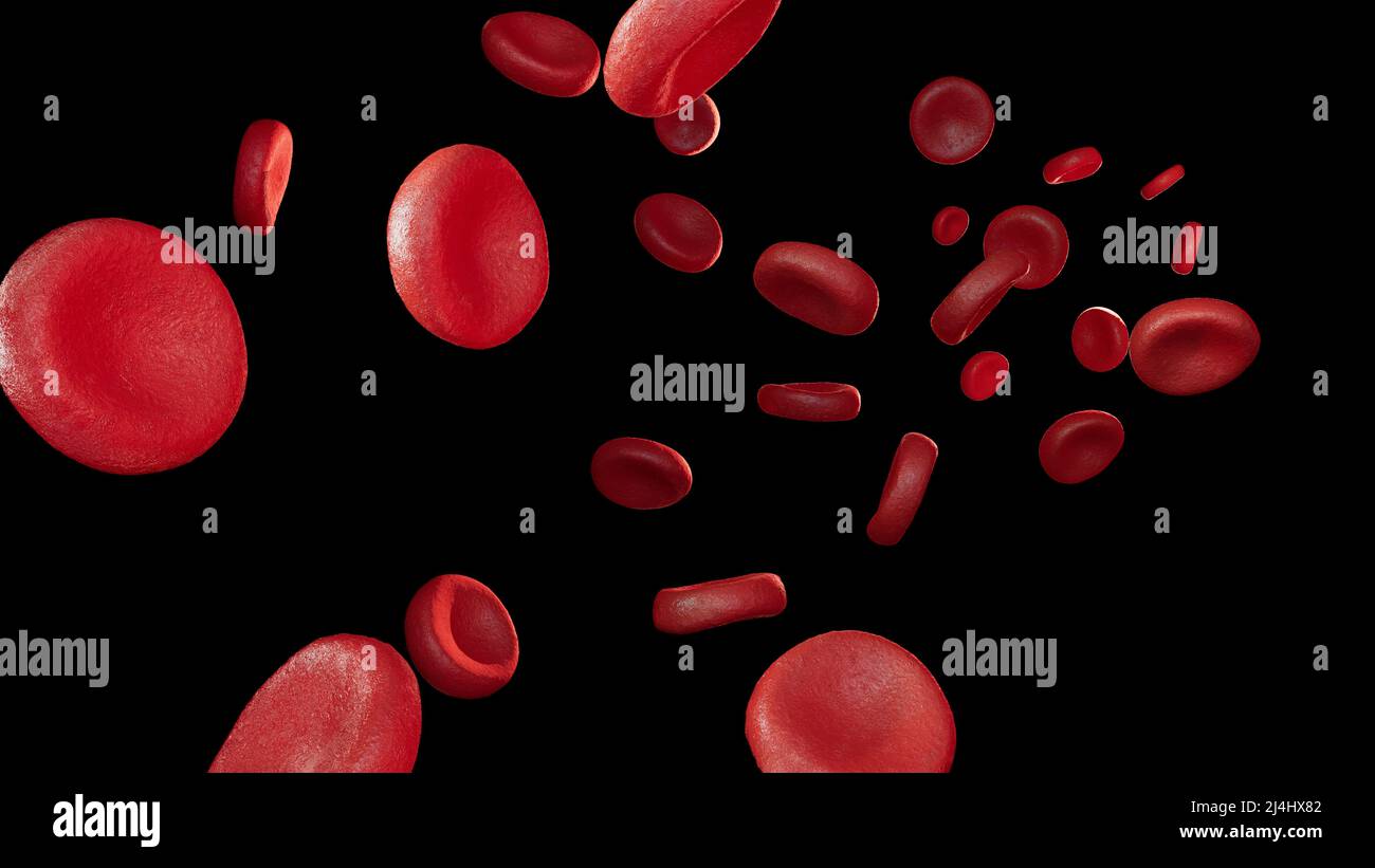 Red blood cells, illustration Stock Photo - Alamy