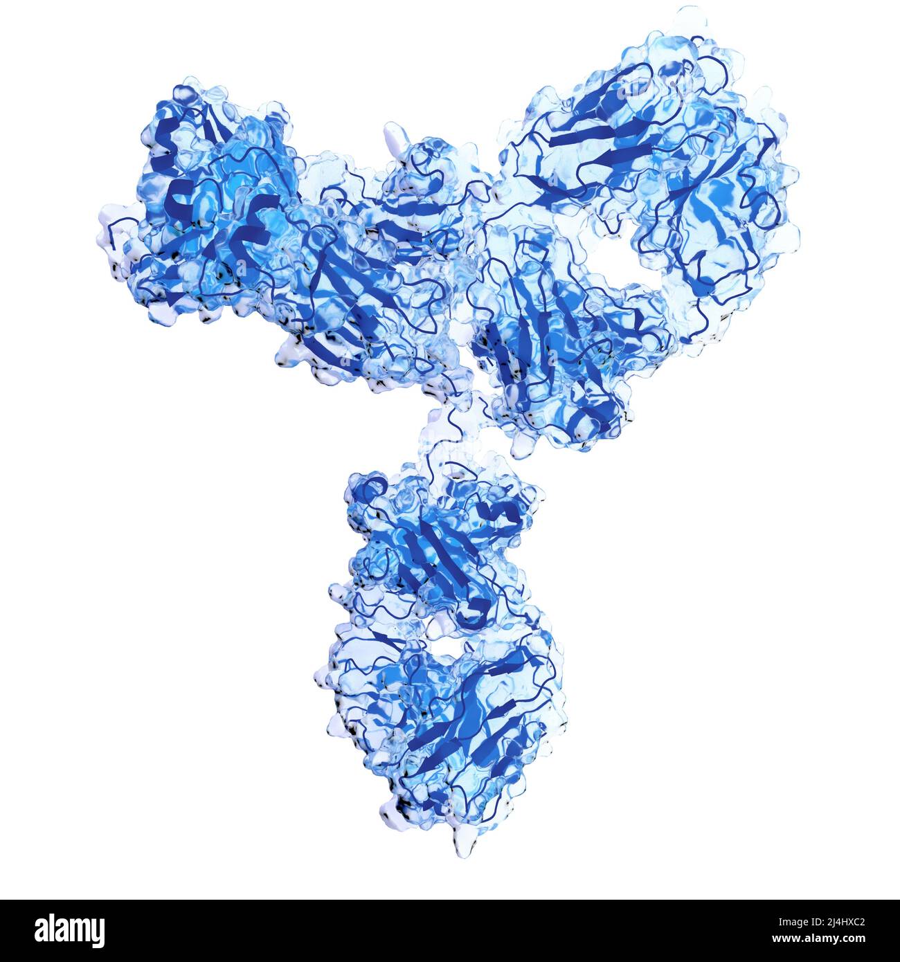 Y shaped structure Cut Out Stock Images & Pictures - Alamy