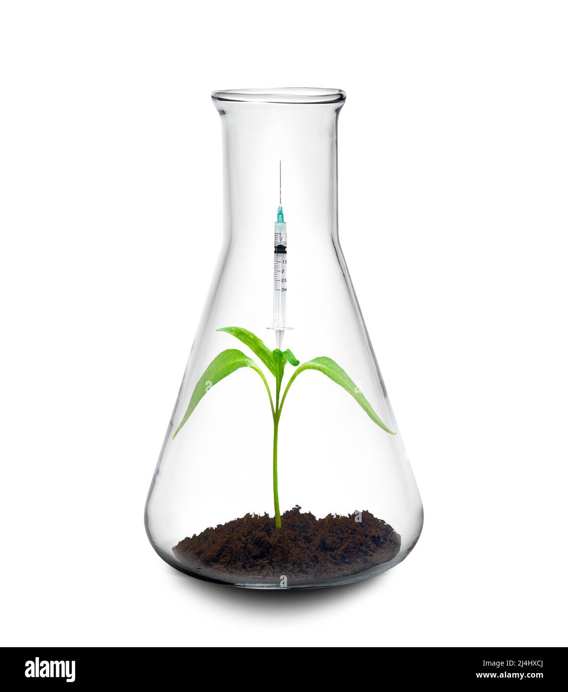 Biotech growth, conceptual image Stock Photo - Alamy