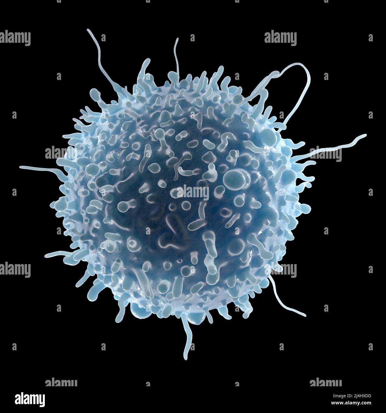 T helper immune cell, illustration Stock Photo - Alamy