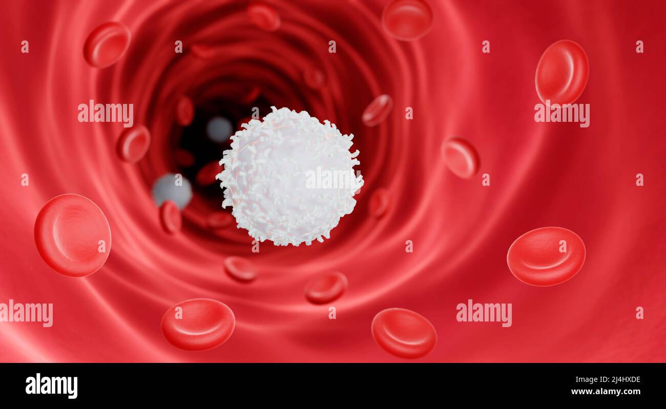 Leukocyte hi-res stock photography and images - Alamy