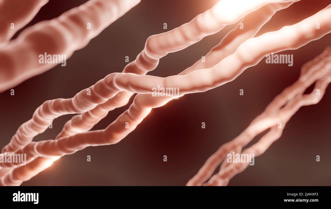 Collagen molecule, illustration Stock Photo - Alamy