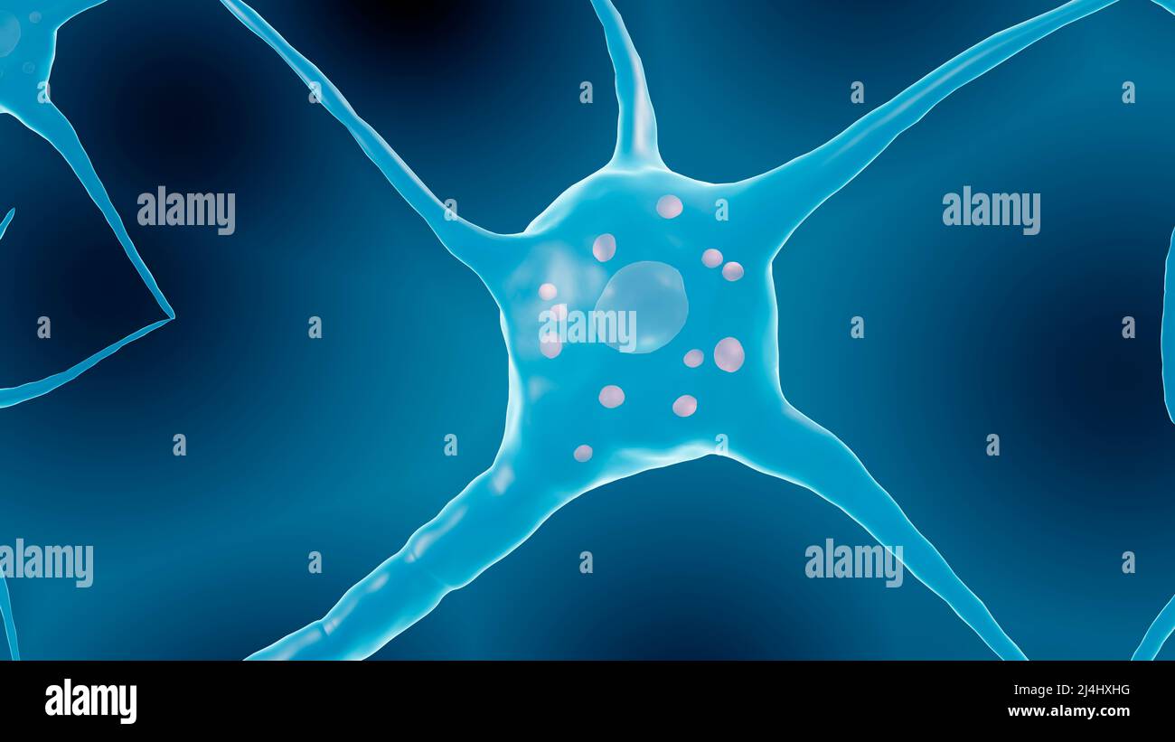 Lewy bodies in a nerve cell, illustration Stock Photo - Alamy