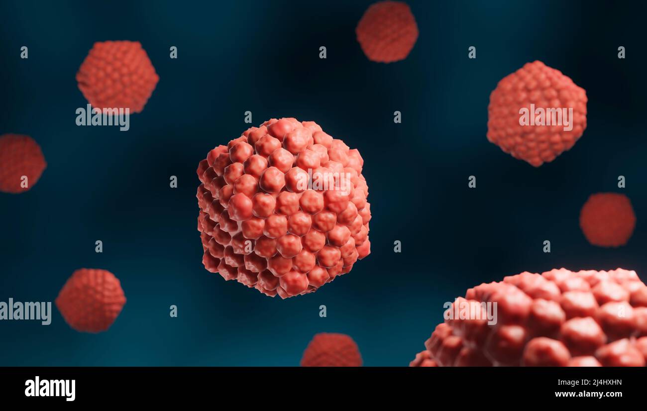 Herpes simplex viruses, illustration Stock Photo - Alamy