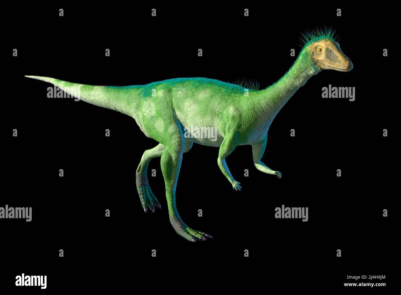 Artwork of Nyasasaurus parringtoni Stock Photo - Alamy
