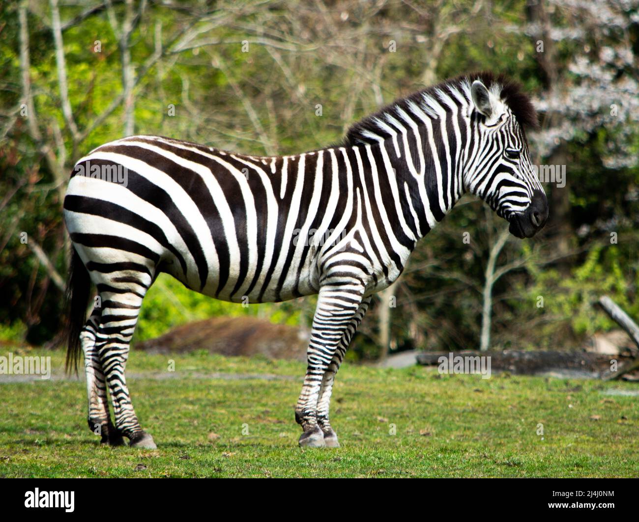 Posing photographs hi-res stock photography and images - Alamy