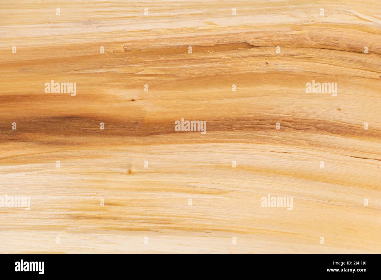 Close up shot of split wood texture background - good for design Stock ...