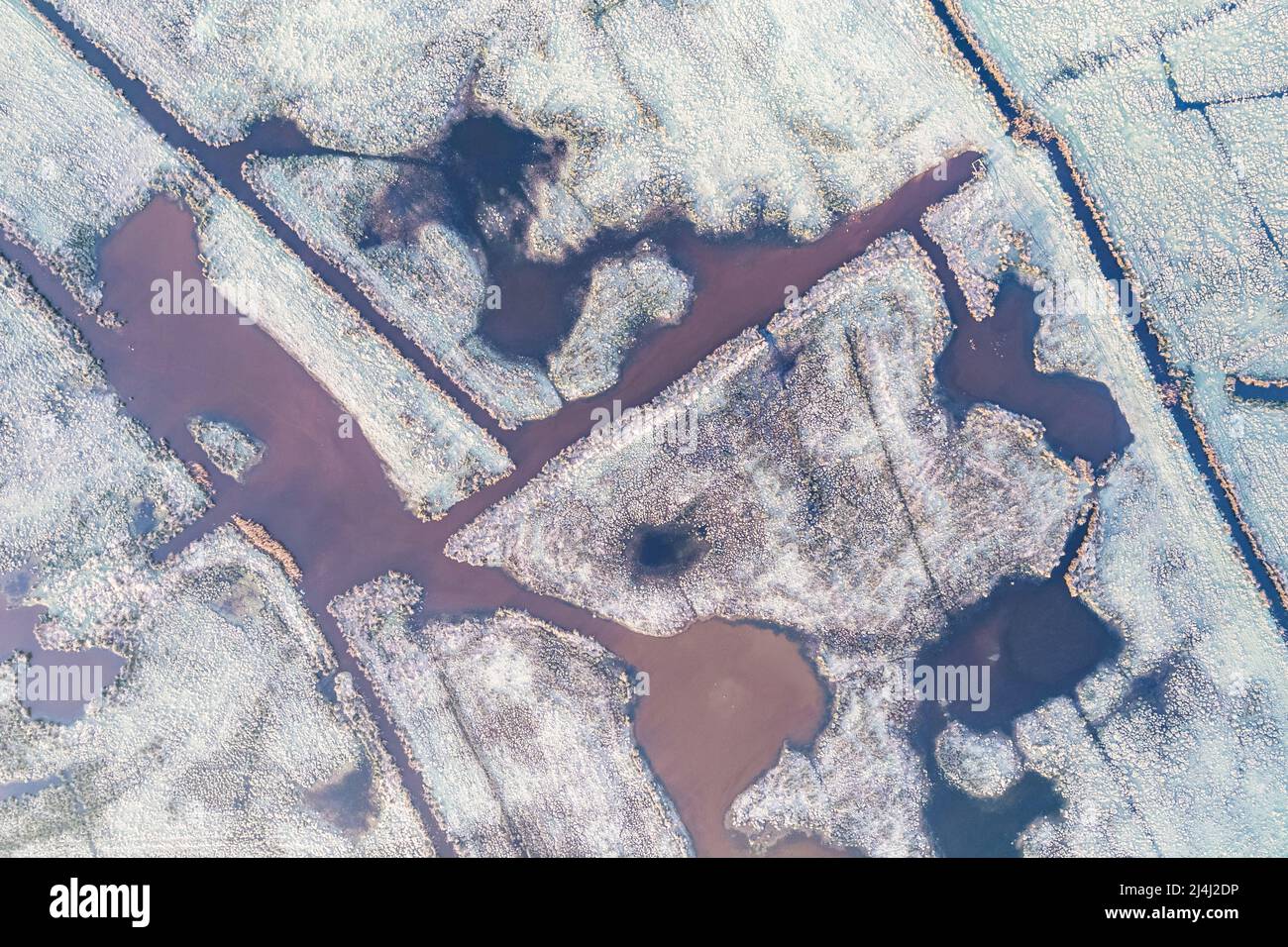 Misty Sunrise over hoarfrosted Wetlands and meadows, RSPB Exminster and ...