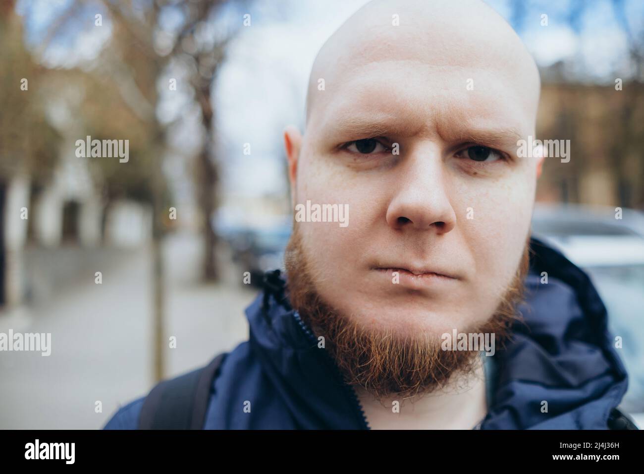 A white man with bald head and beard has a rest in a park Stock Photo ...