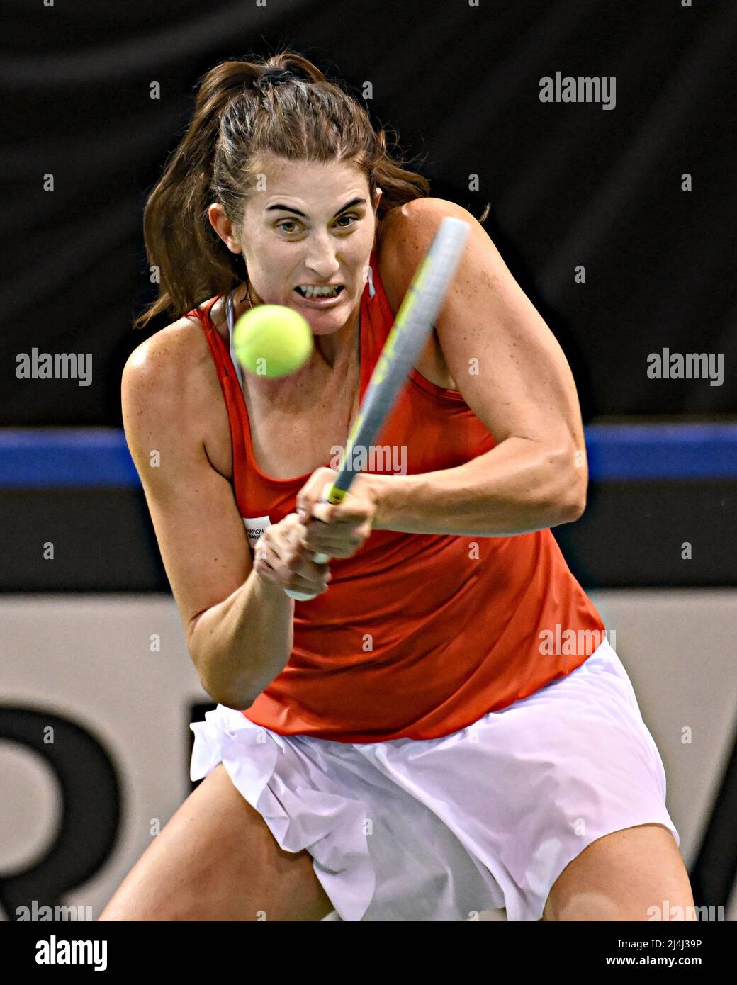 Daniela vismane hi-res stock photography and images - Alamy