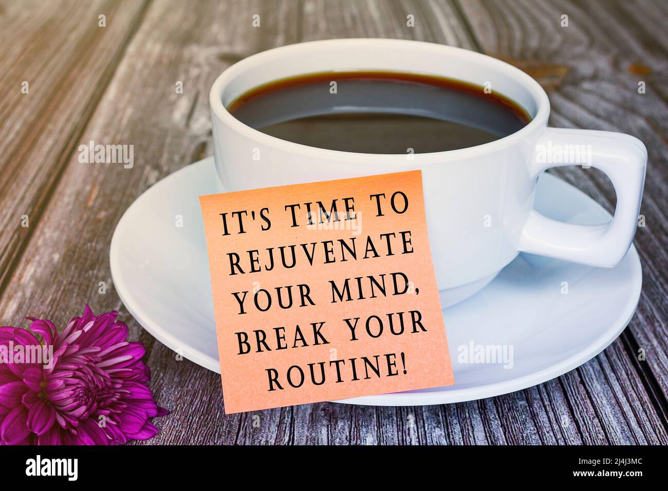 Coffee Moments Quotes There's Always Time Coffee Quote Stock Vector By