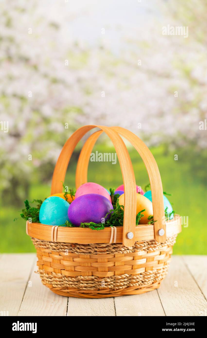 Solid egg colors hi-res stock photography and images - Alamy