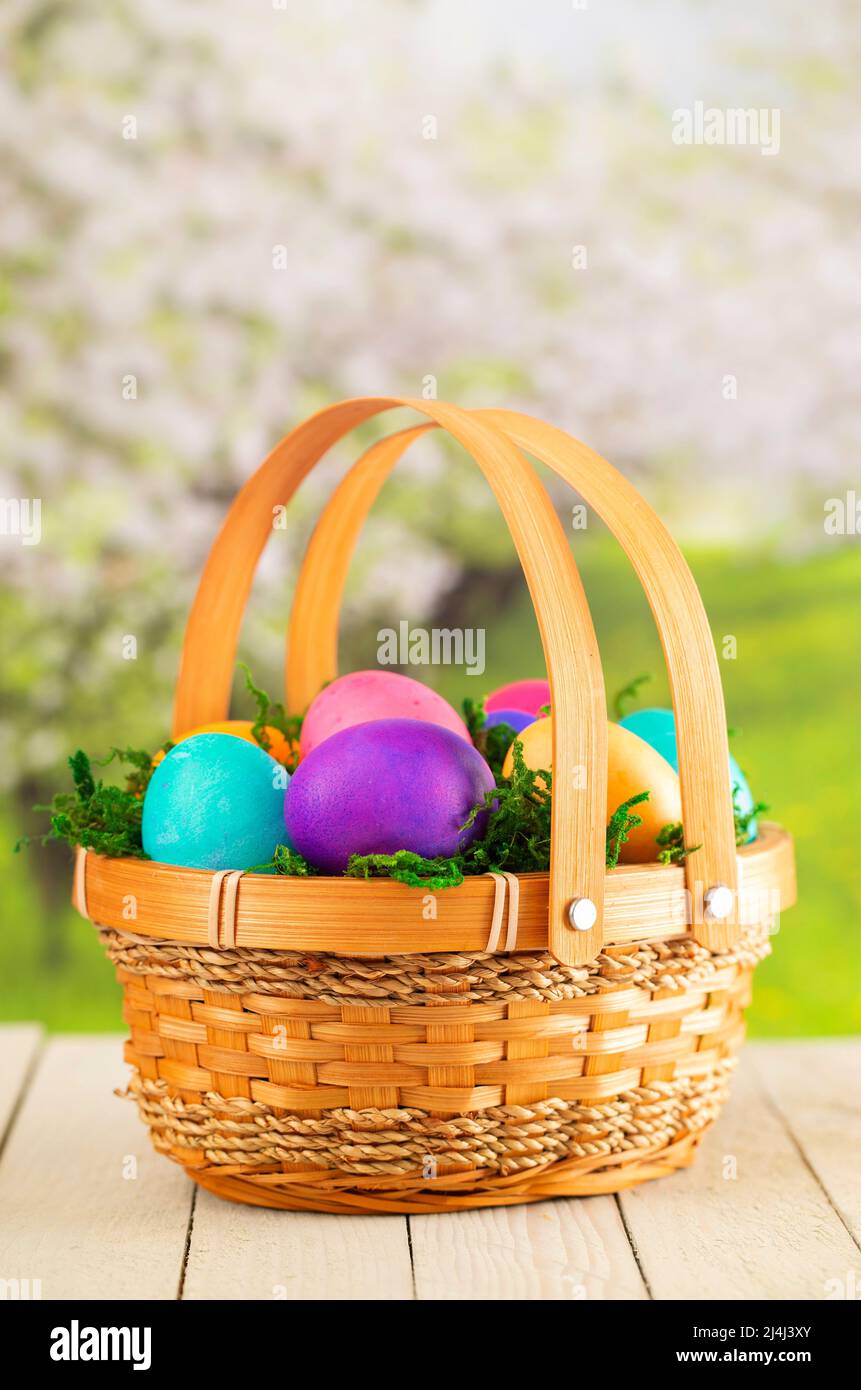 Solid egg colors hi-res stock photography and images - Alamy