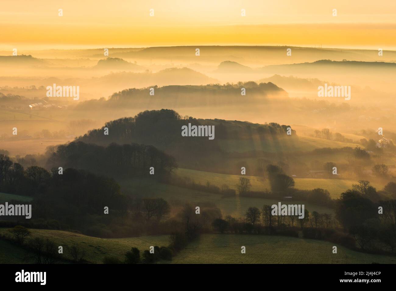 Bridport, Dorset, UK. 16th April 2022. UK Weather. Mist surrounds the ...