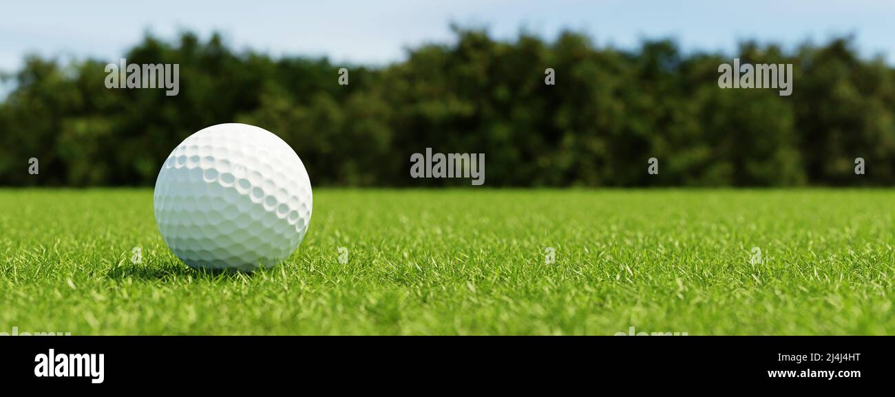 Golf ball on grass in fairway green background. Banner for advertising ...