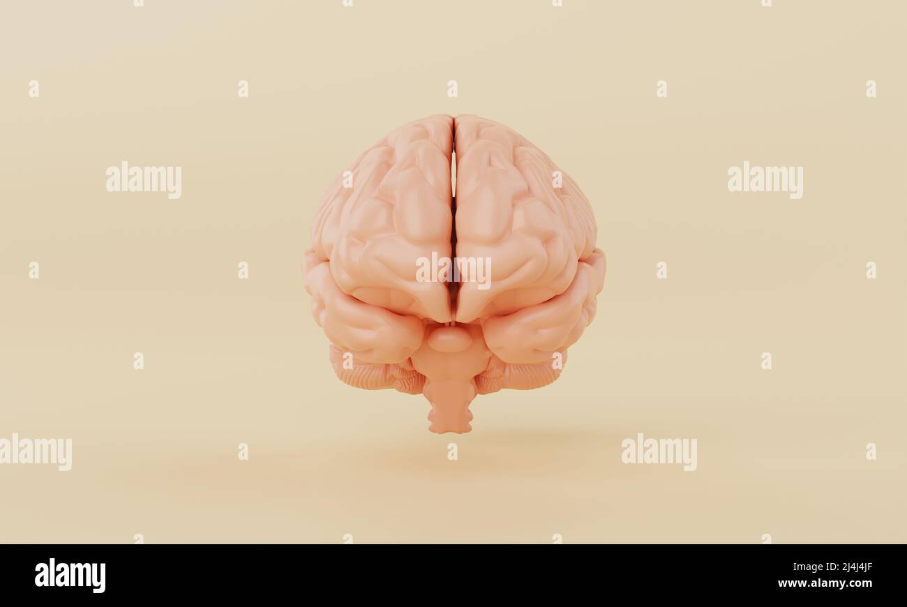 Orange simple mind brain model on yellow background. Medical science ...