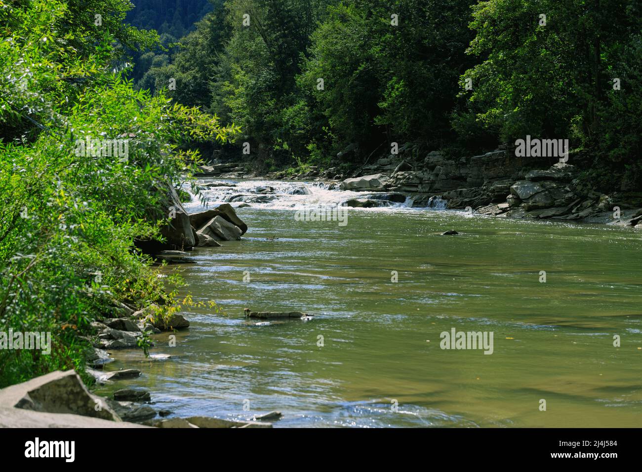 Mountain river with rapids, large stones, lush vegetation along the ...