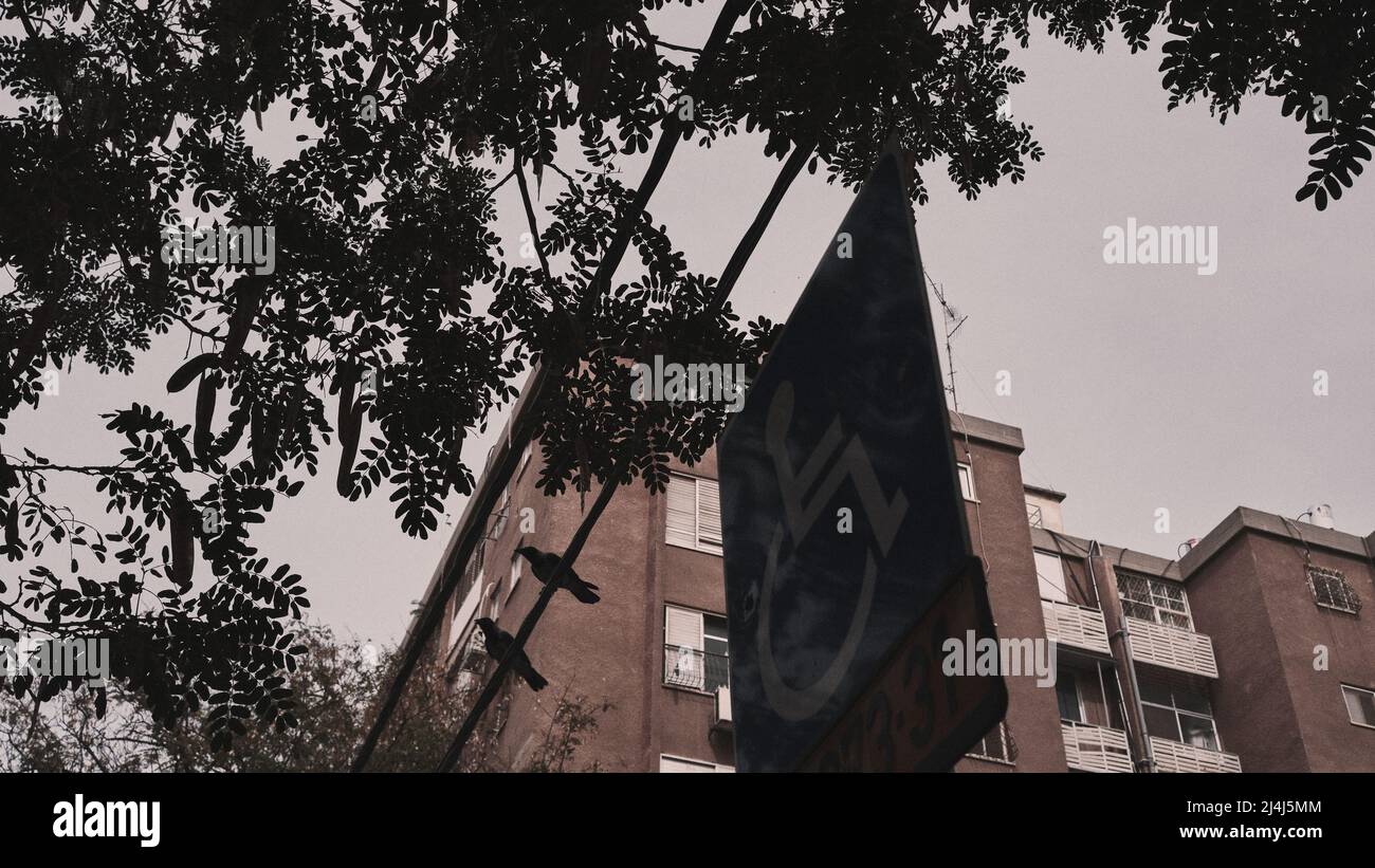 Crows rest on a power cord Stock Photo - Alamy
