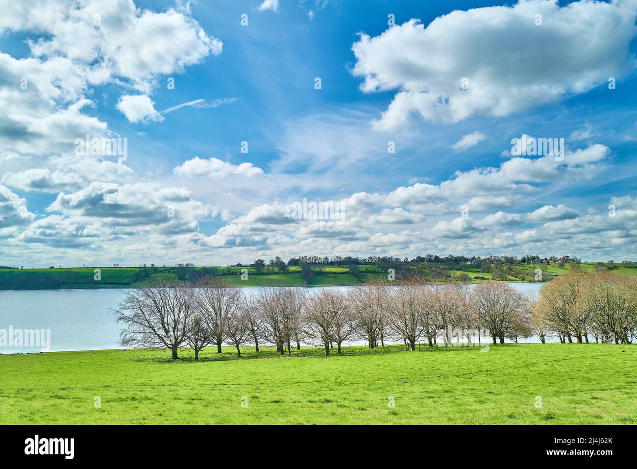 Line of trees along the shore of a lake on a sunny and cloudy day in ...