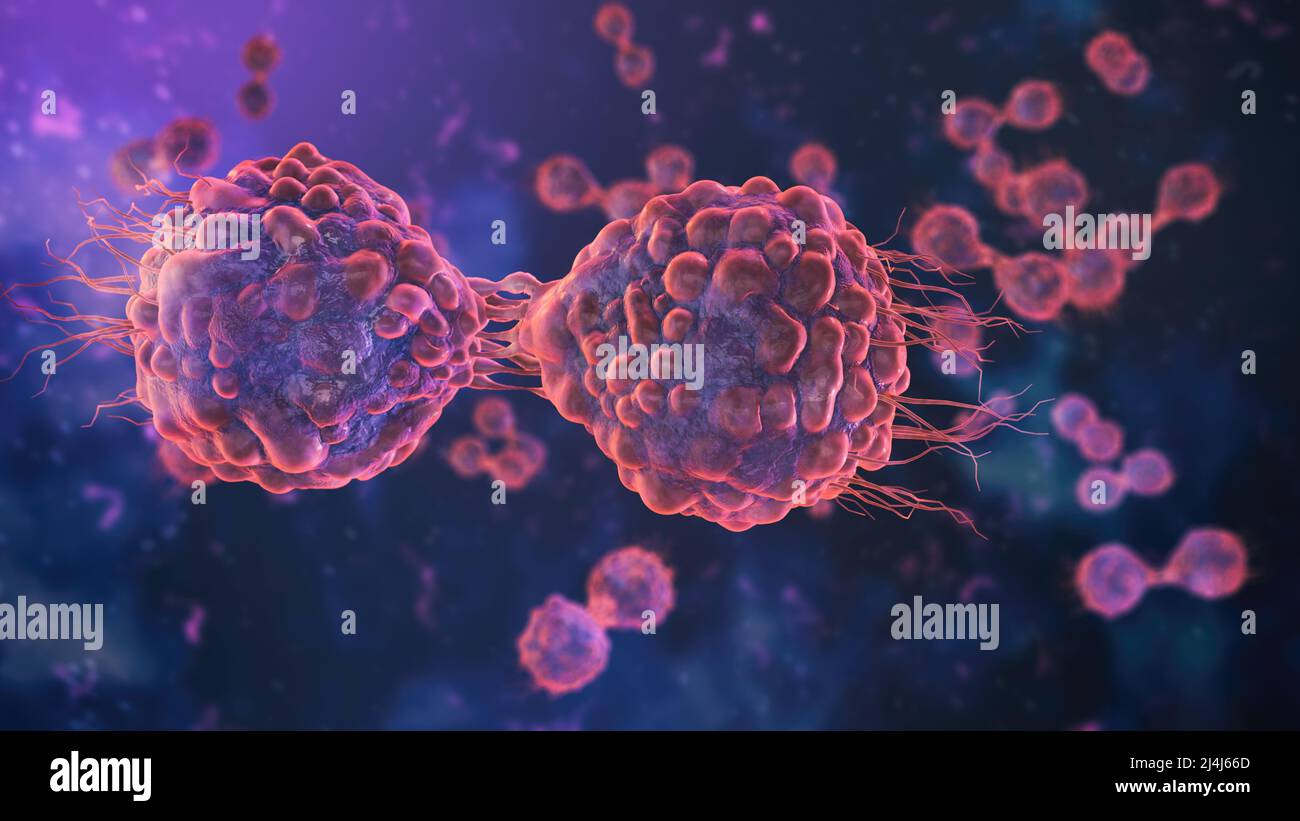 bacteria cells and virus under the microscope, concept of microbiology ...