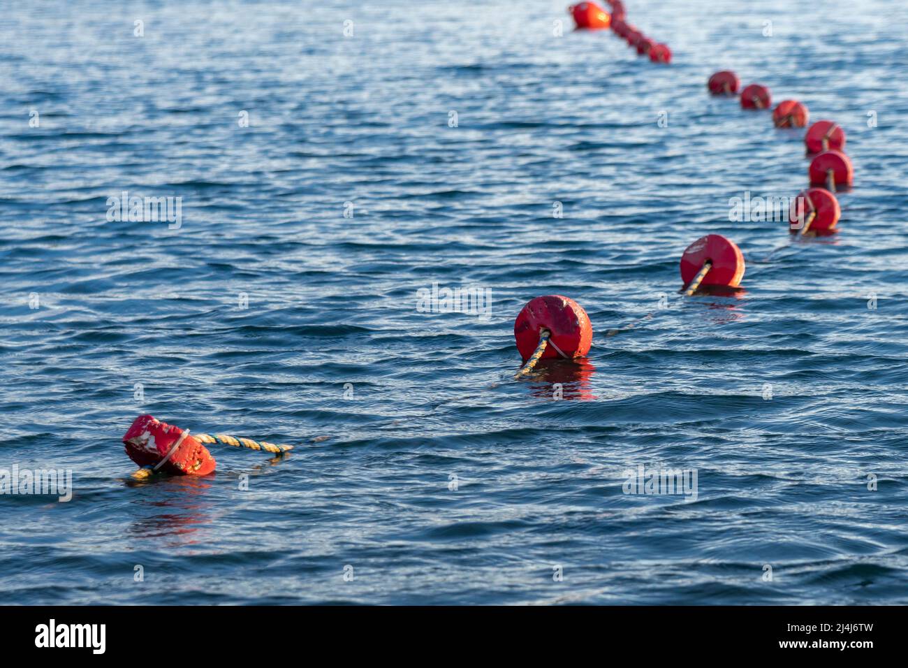 swimming area marked with red floating spheres on rope. Nature Stock ...
