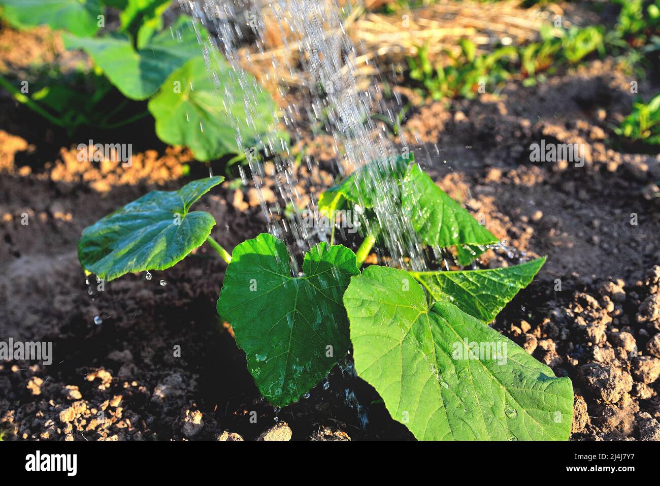 Time jets hi-res stock photography and images - Alamy