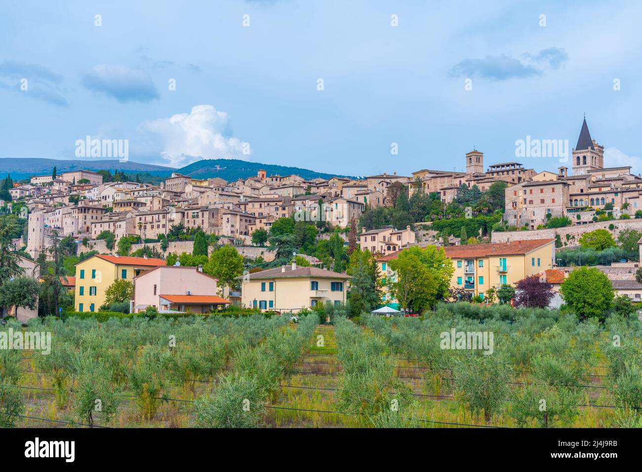 Cityscape of Italian town Spello Stock Photo - Alamy