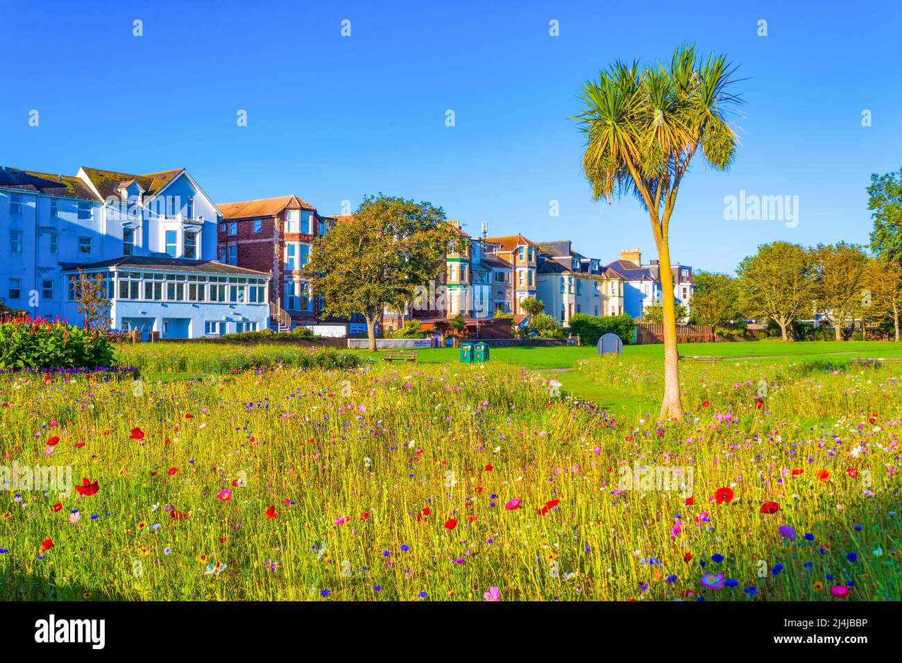 Colorful beachside traditional buildings along the coastal street by ...
