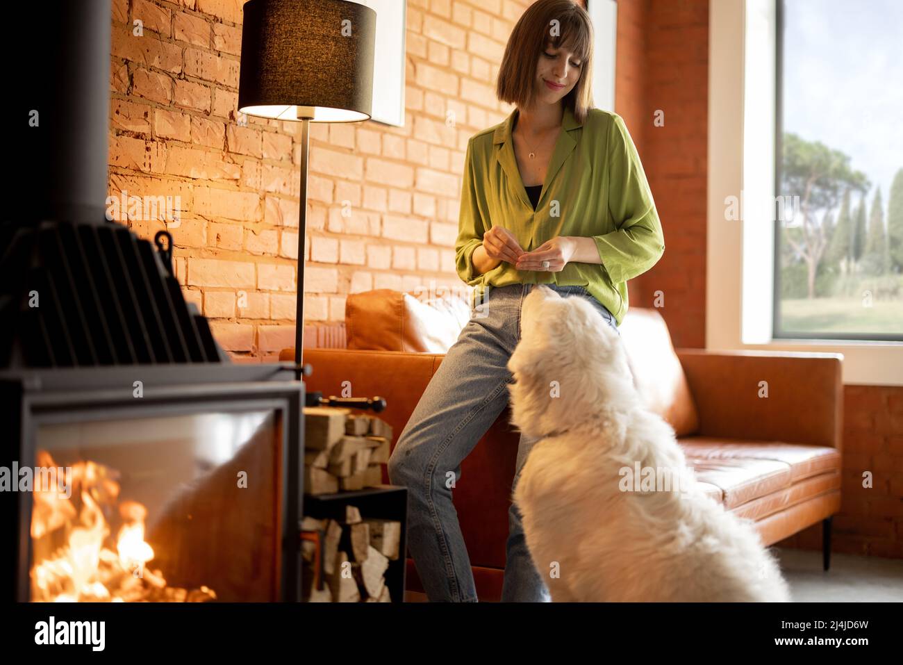 Woman feeds her white adorable dog, spending time together at home ...