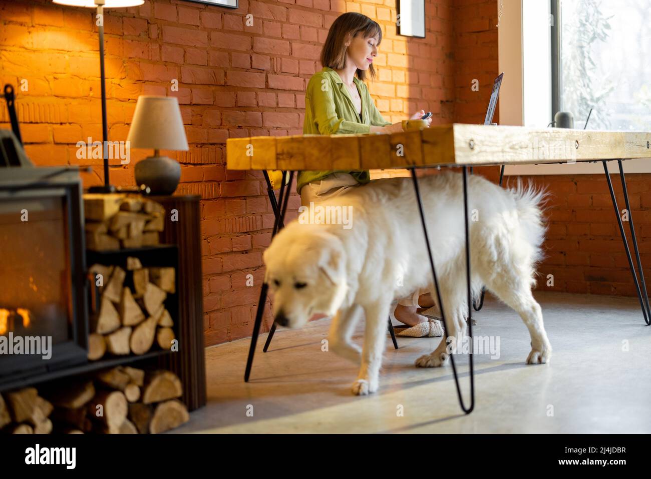 Woman works on laptop in cozy living room with a dog Stock Photo - Alamy