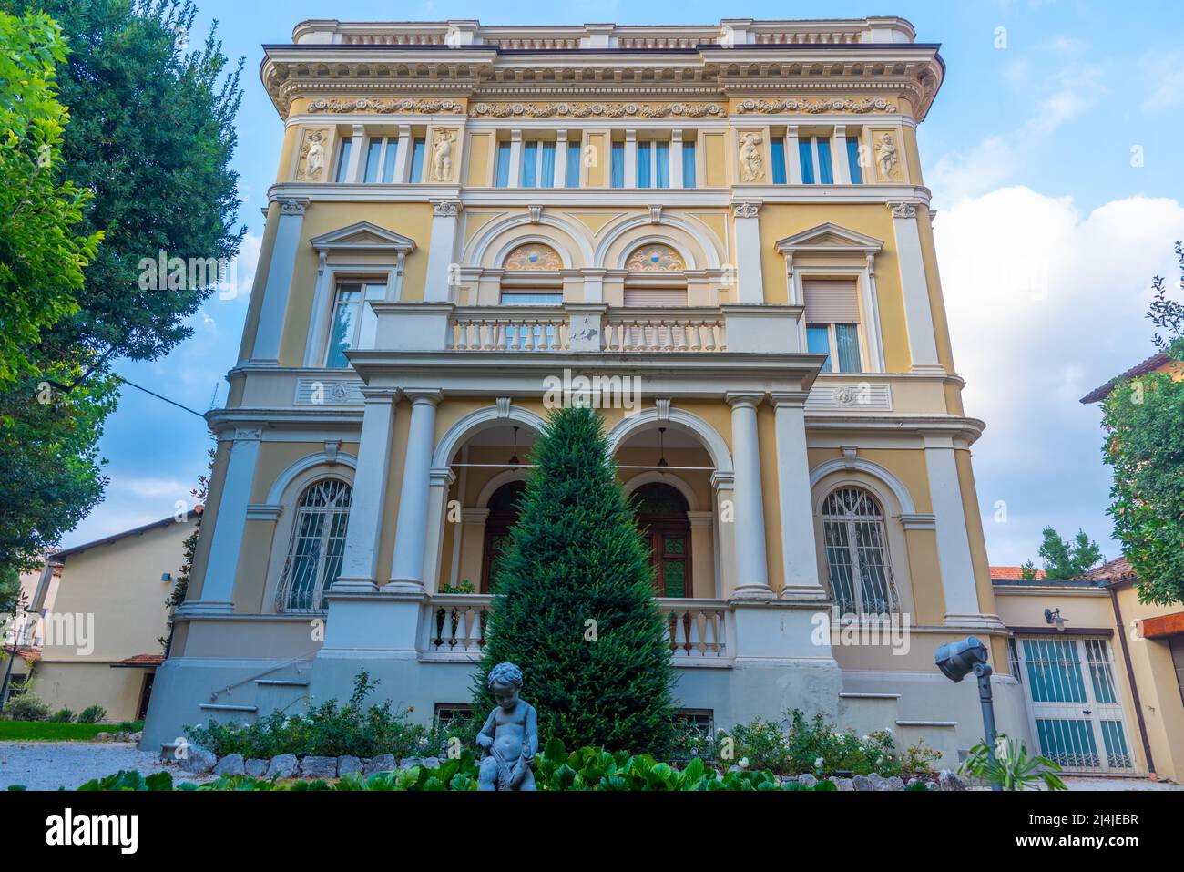 Petunia with yellow center hi-res stock photography and images - Alamy