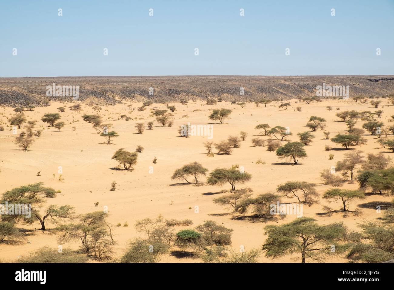 Mauritania, Ouadane, World Heritage village Stock Photo - Alamy