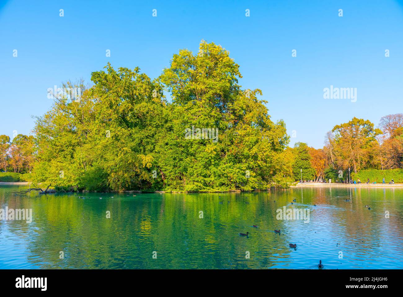 Artificial pond at Parco Ducale in Parma, Italy Stock Photo - Alamy