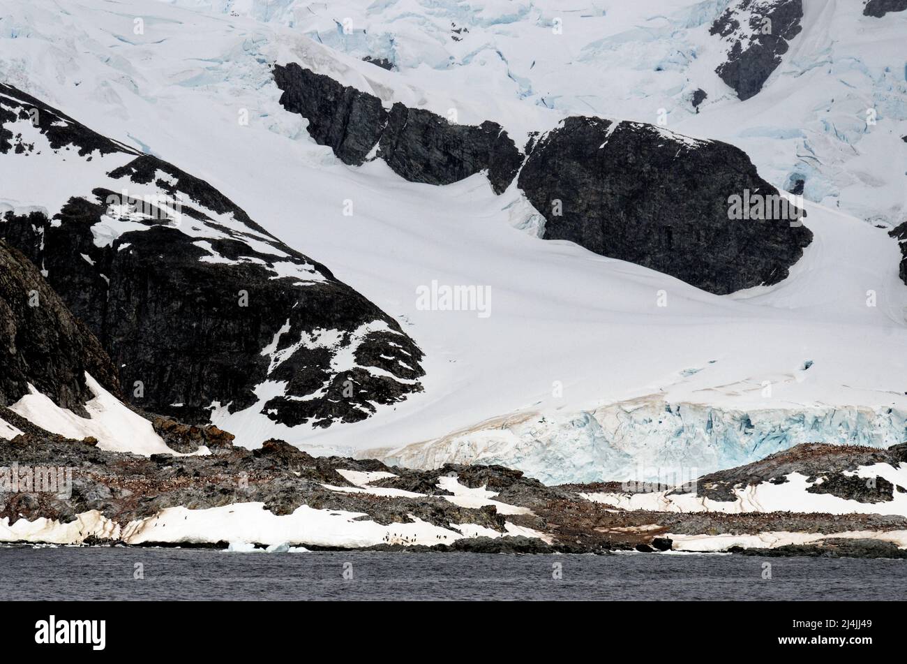 Antarctica - Coastline of Antarctica With Ice Formations - Antarctic ...