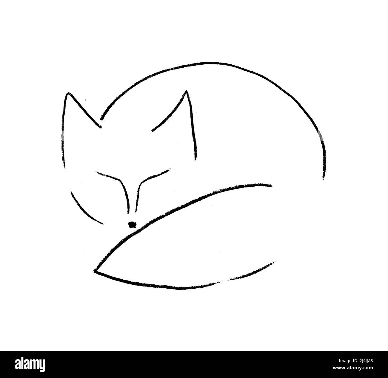 sleeping fox line drawing in black ink on white background Stock Photo ...