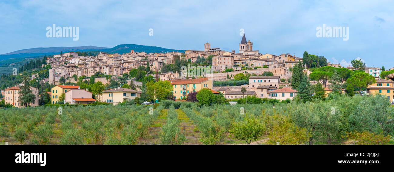 Aerial view of Italian town Spello Stock Photo - Alamy
