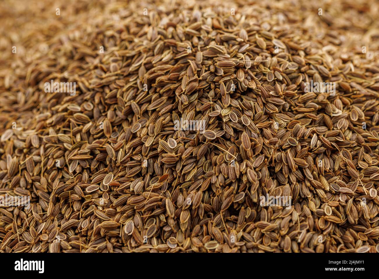 Dry Rolls Dill - Anethum graveolens - pile closeup full-frame view with ...