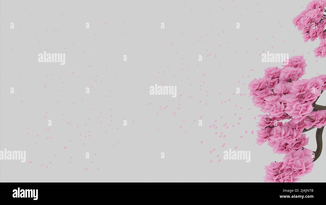 Animated background with falling petals of pink flowers on tree. Design ...