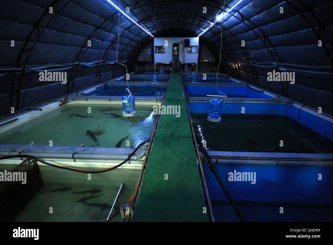 Indoor fish aquaculture system hi-res stock photography and images - Alamy