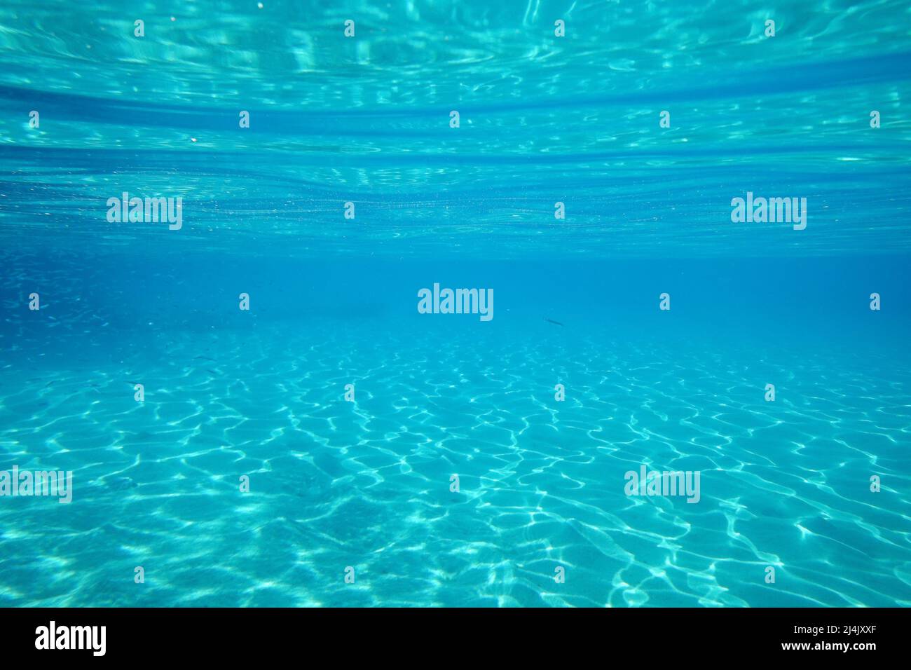 Beautiful underwater background, sun beams Stock Photo - Alamy