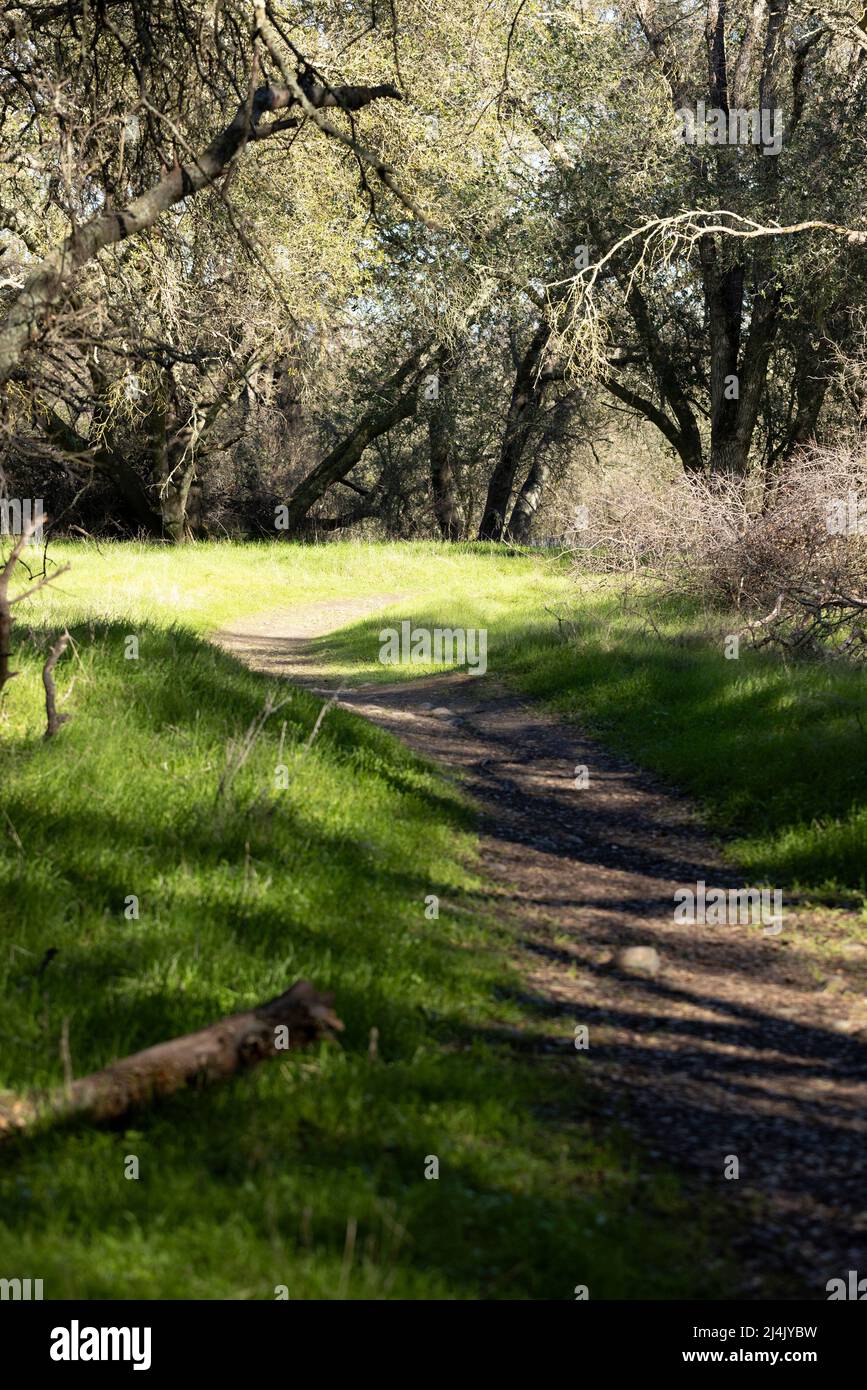 Well worn path wanders through a green field of grass towards the ...