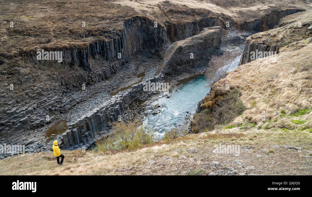 Woman standing by the Studlagil basalt canyon, Iceland. This is a rare ... Woman standing by the Studlagil basalt canyon, Iceland. This is a rare ...