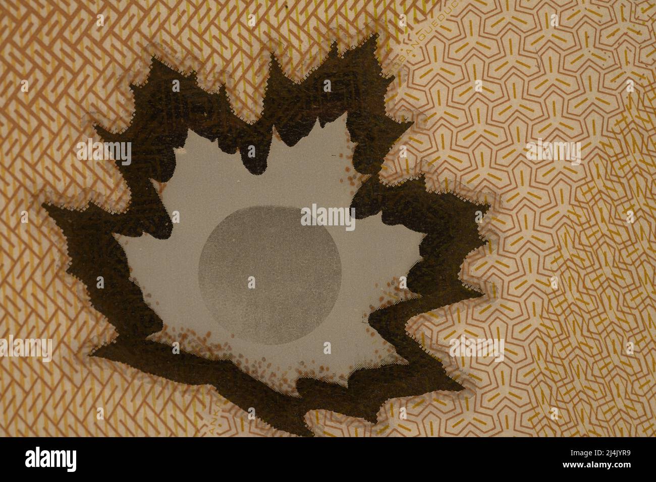 Close up of brown Canadian Hundred (100) dollar bill maple leaf ...