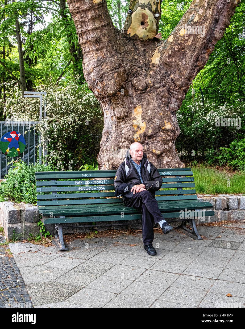 Senior man sitting under tree hi-res stock photography and images - Alamy