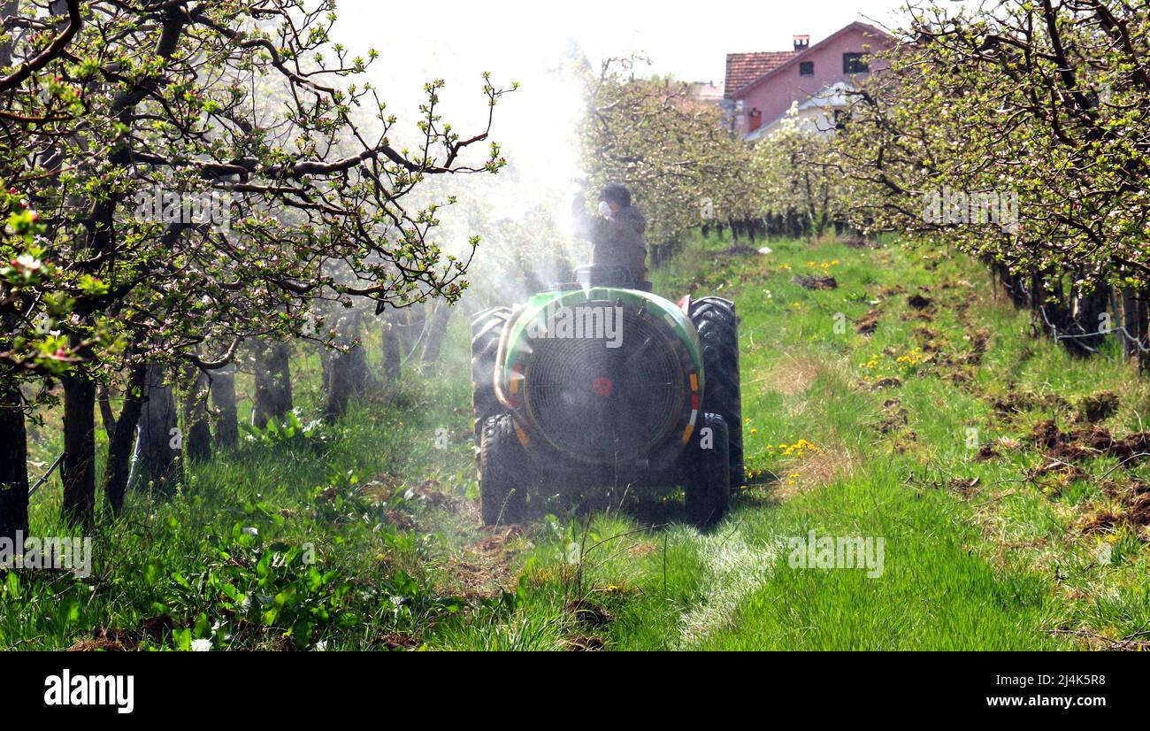 Farmer spraying apple orchard hi-res stock photography and images - Alamy