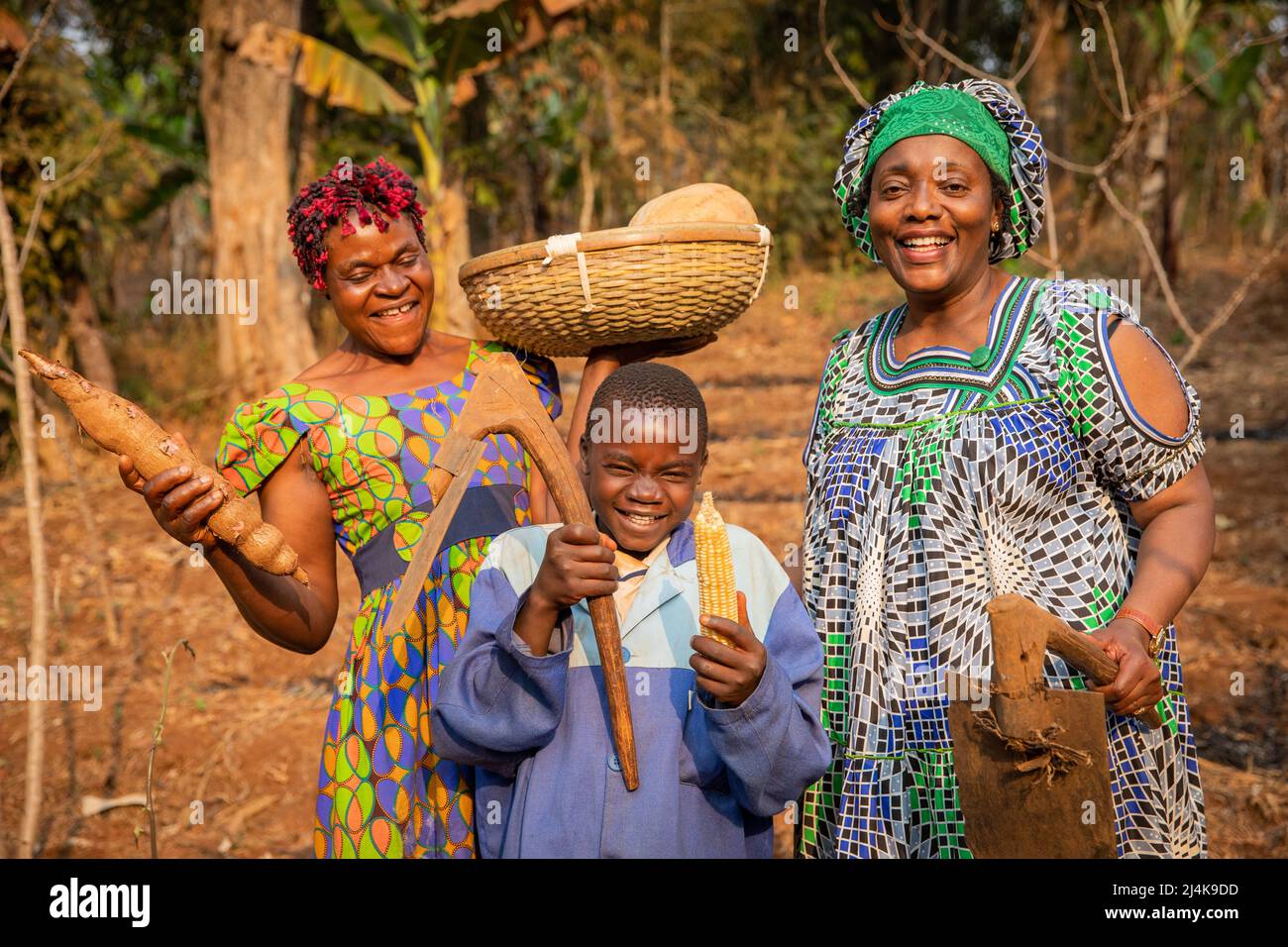 group of African farmers have fun in the fields, they have hoes in ...