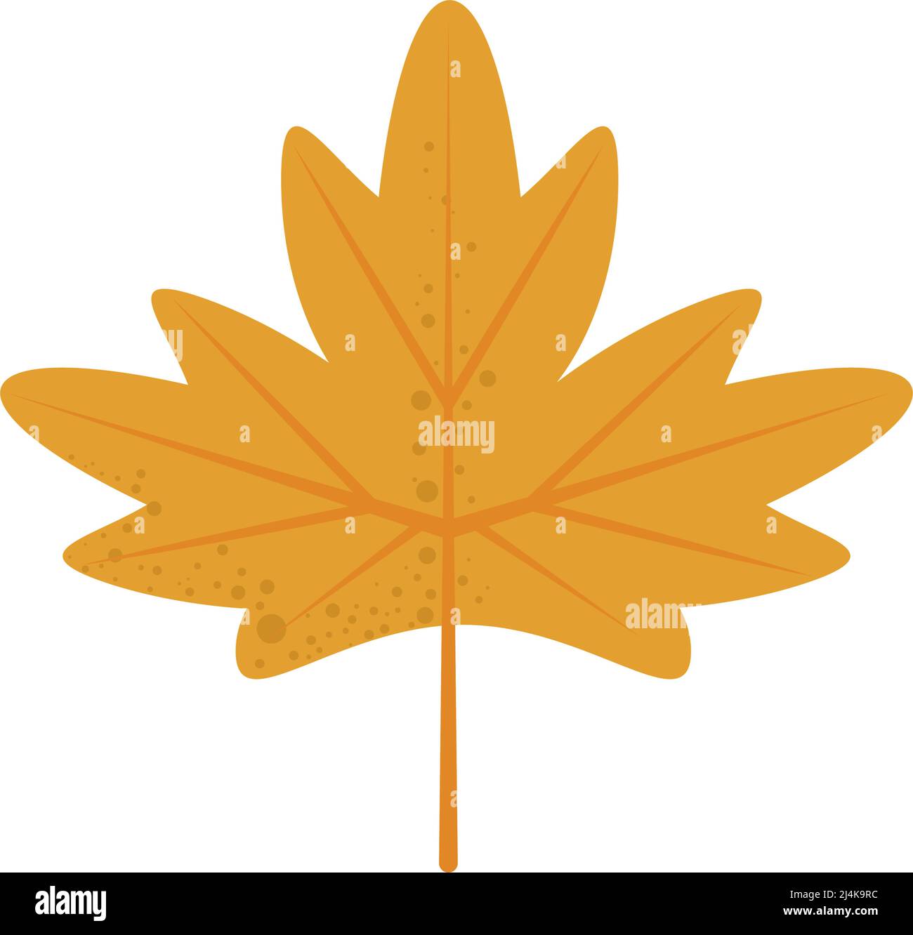 maple leaf icon Stock Vector Image & Art - Alamy