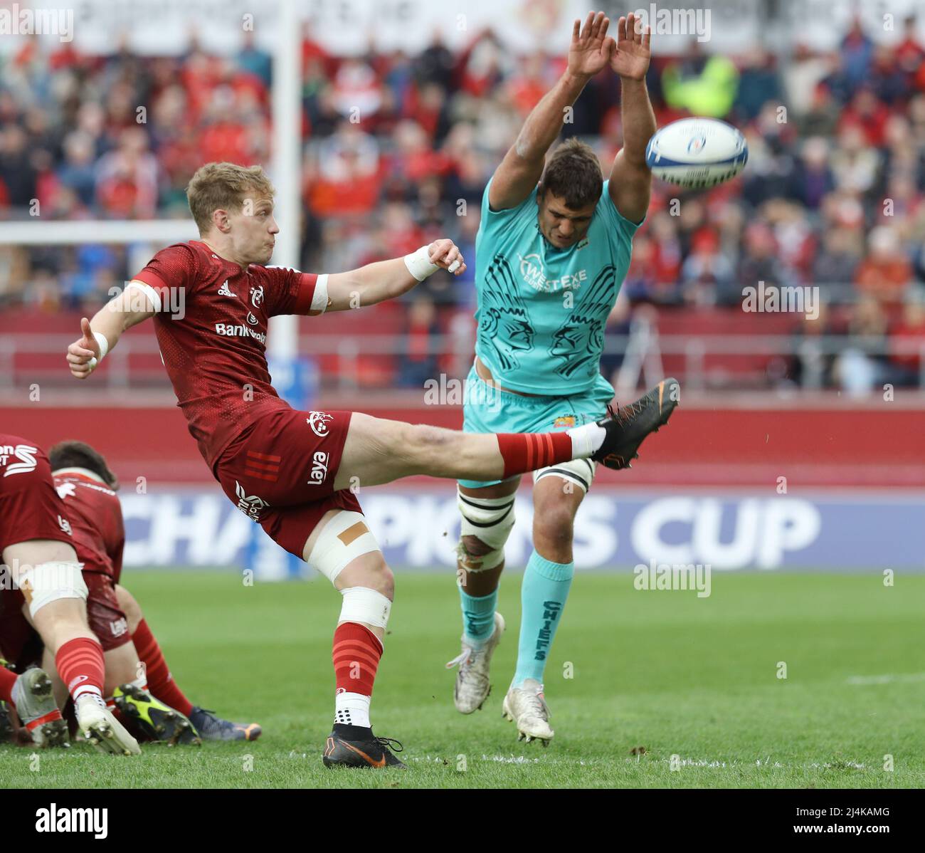 Mike haley munster hi-res stock photography and images - Alamy